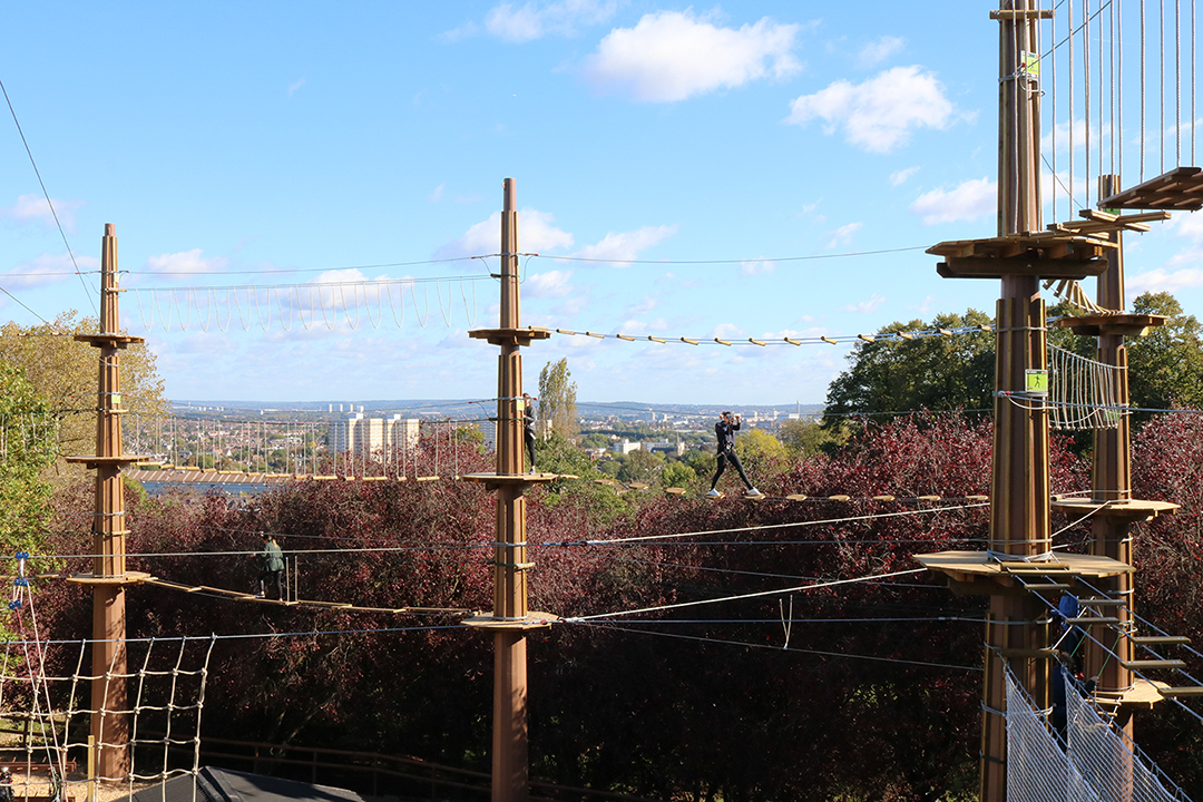 High Ropes Tree Top Adventure | Adrenaline Activity | Red Cactus Events