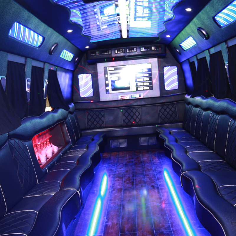 Party Bus Berlin - Berlin Activities - Red Cactus Events